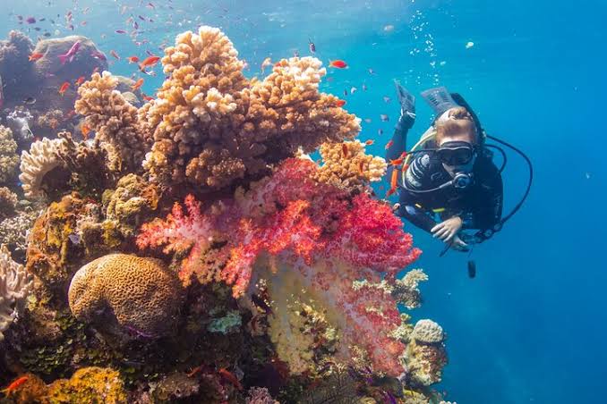 Spotlight on certification of ocean ventures