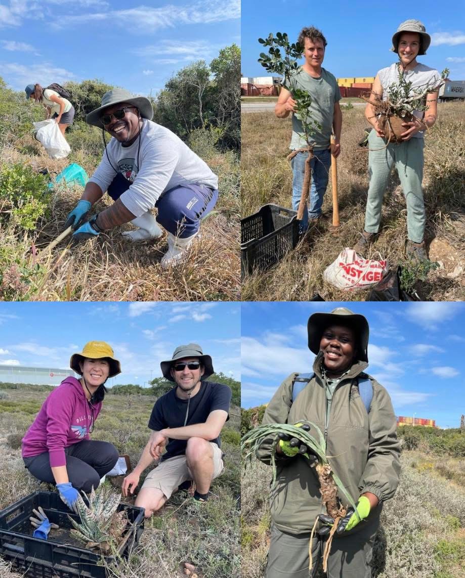 Plant rescue prior to construction of the COEGA Zone 1 project